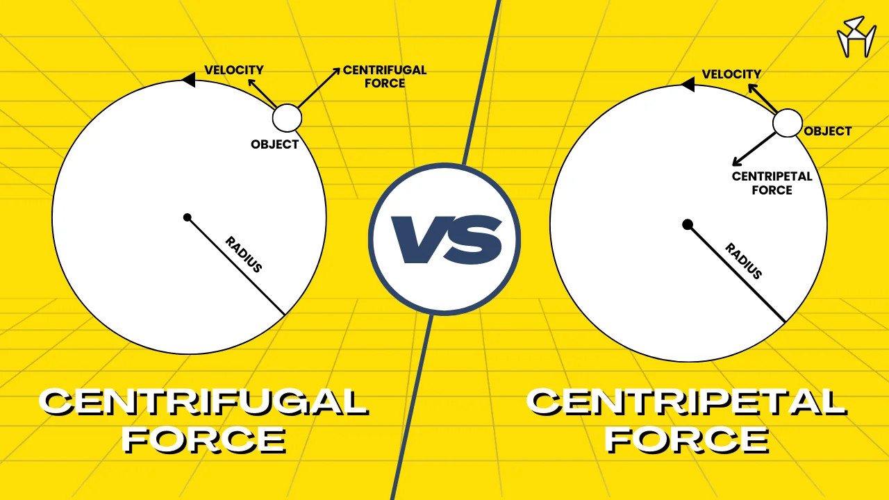 Difference Between Centrifugal And Centripetal Forces [PDF] - Learn ...